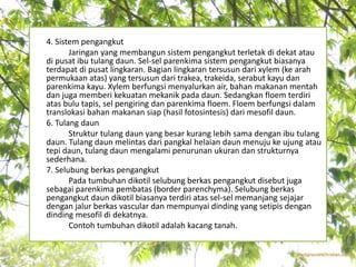 Struktur dan Fungsi Jaringan Pada Daun | PPTX
