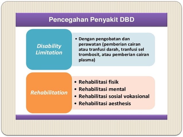 presentasi tentang DBD (Demam Berdarah Dengue).pptx