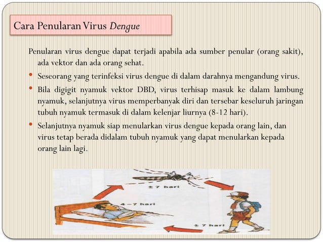 presentasi tentang DBD (Demam Berdarah Dengue).pptx