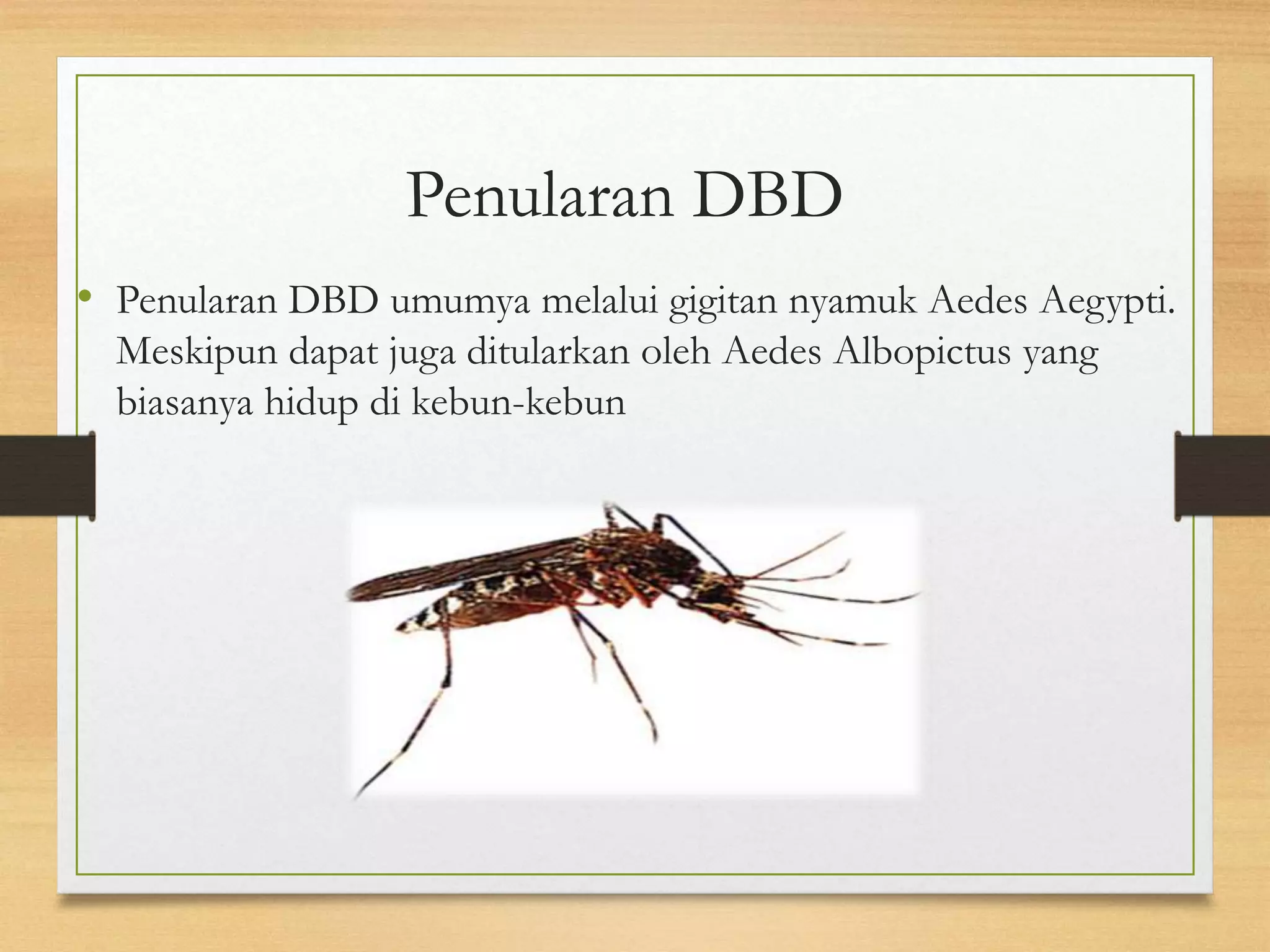 Presentasi DBD dan Kader Jumantik.pptx