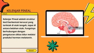 HUBUNGAN ANTARA DIAGRAM CAKRA DAN KELENJAR | PPTX