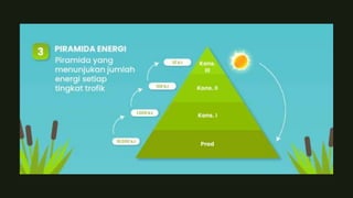 Aliran Energi dan Piramida Ekologi | PPTX