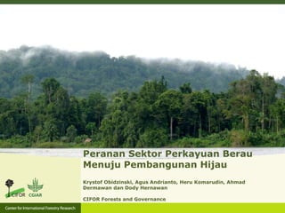 Peranan Sektor Perkayuan Berau Menuju Pembangunan Hijau | PPT