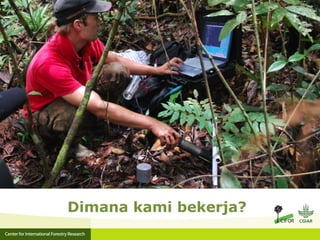Peranan Sektor Perkayuan Berau Menuju Pembangunan Hijau | PPTX
