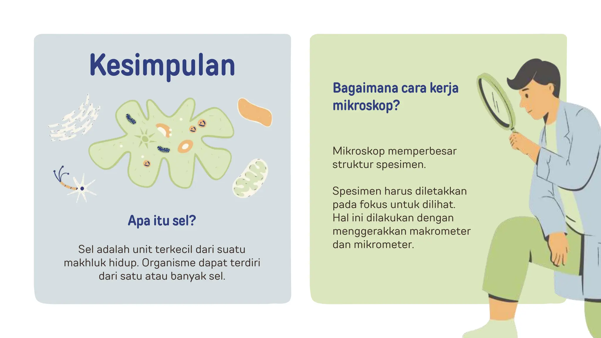 Presentasi Edukasi Menjelajahi Sel Secara Detail Gambaran Tangan Gaya ...