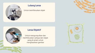 Presentasi Edukasi Menjelajahi Sel Secara Detail Gambaran Tangan Gaya ...