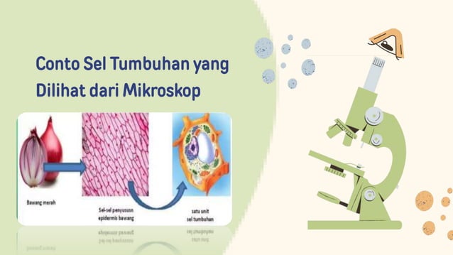 Presentasi Edukasi Menjelajahi Sel Secara Detail Gambaran Tangan Gaya ...