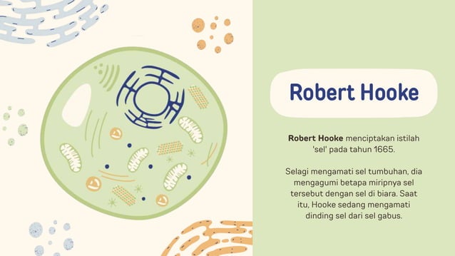 Presentasi Edukasi Menjelajahi Sel Secara Detail Gambaran Tangan Gaya ...