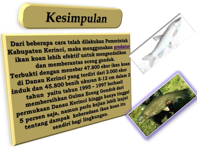 Presentasi enceng gondok_wakil_bupati_kerinci | PDF