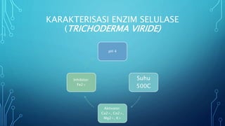 Presentasi Enzim Selulase.pptx