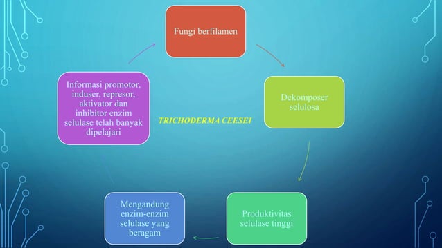 Presentasi Enzim Selulase.pptx