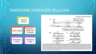 Presentasi Enzim Selulase.pptx