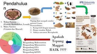 Presentasi Evaluasi sumber bahan baku pakan Protein Hewani Maggot.pptx