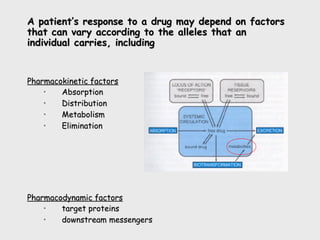 Presentasi farmakogenomik | PPT