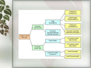 Presentasi farmako parkinson dan ssp | PPTX