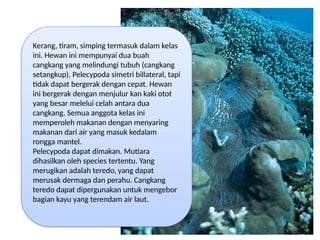 hewan invertebrata kelas MOLLUSCA adalah hewan yang struktur tubuhnya ...