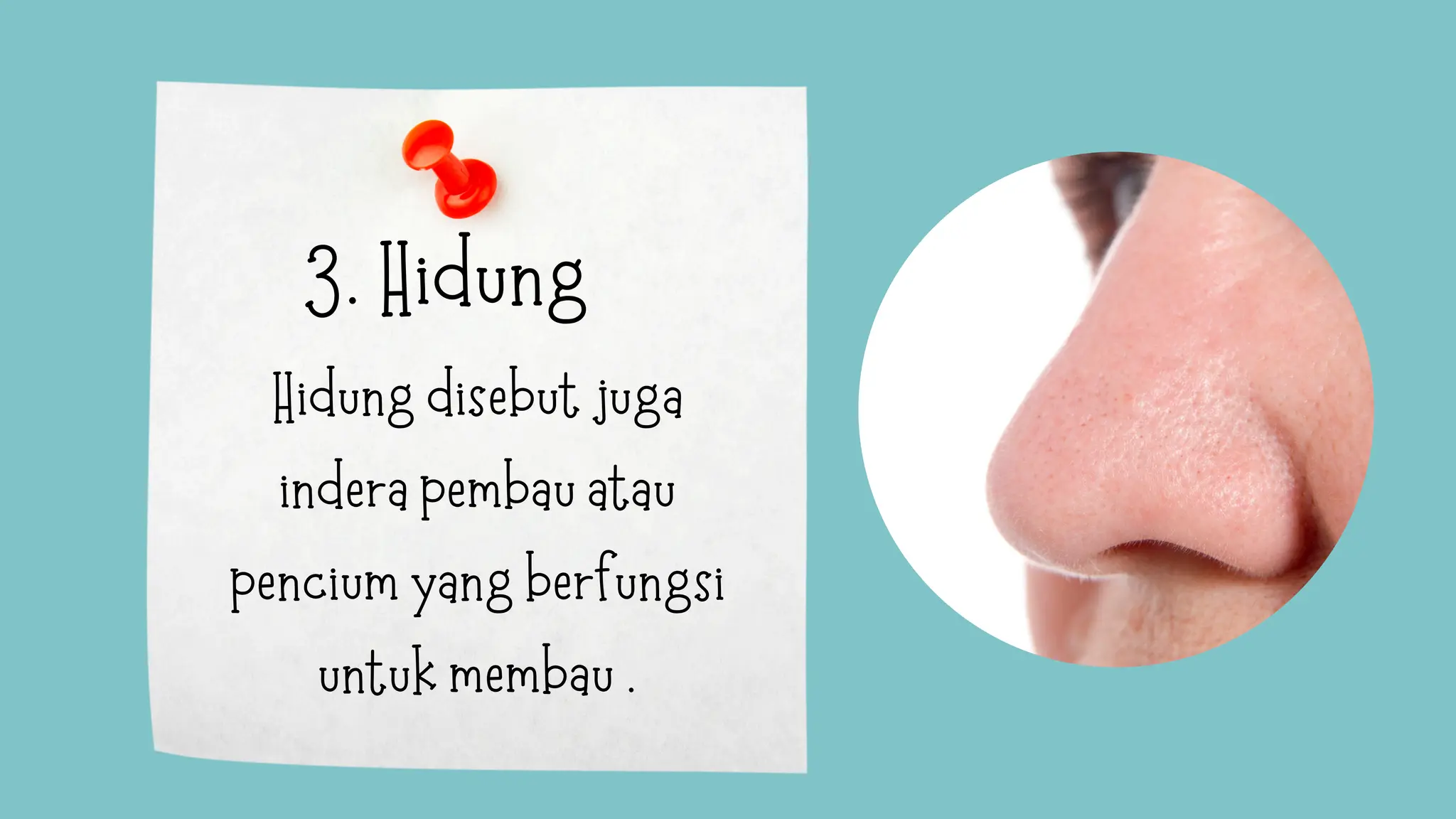 Presentasi Fungsi Panca Indera Kelas 4 semester 1 Kurikulum Merdeka.pdf