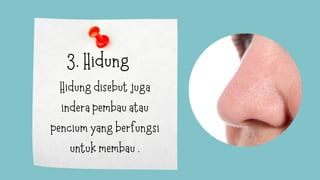 Presentasi Fungsi Panca Indera Kelas 4 semester 1 Kurikulum Merdeka.pdf