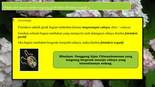 Biologi : GERAK PADA TUMBUHAN | PPTX