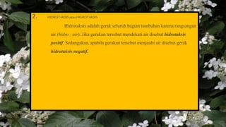 Biologi : GERAK PADA TUMBUHAN | PPTX