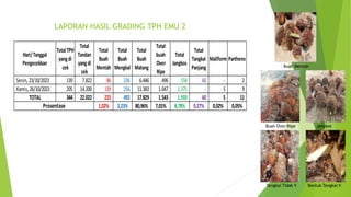 Presentasi GRADING TPH 20 Oktober s.d 26 Oktober 2023.pptx