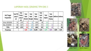 Presentasi GRADING TPH 20 Oktober s.d 26 Oktober 2023.pptx