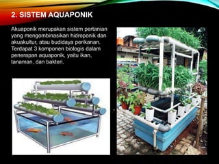 Presentasi hidroponik.pptx