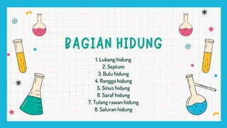 Sistem Indera-Anatomi dan fisiologi Hidung.pdf