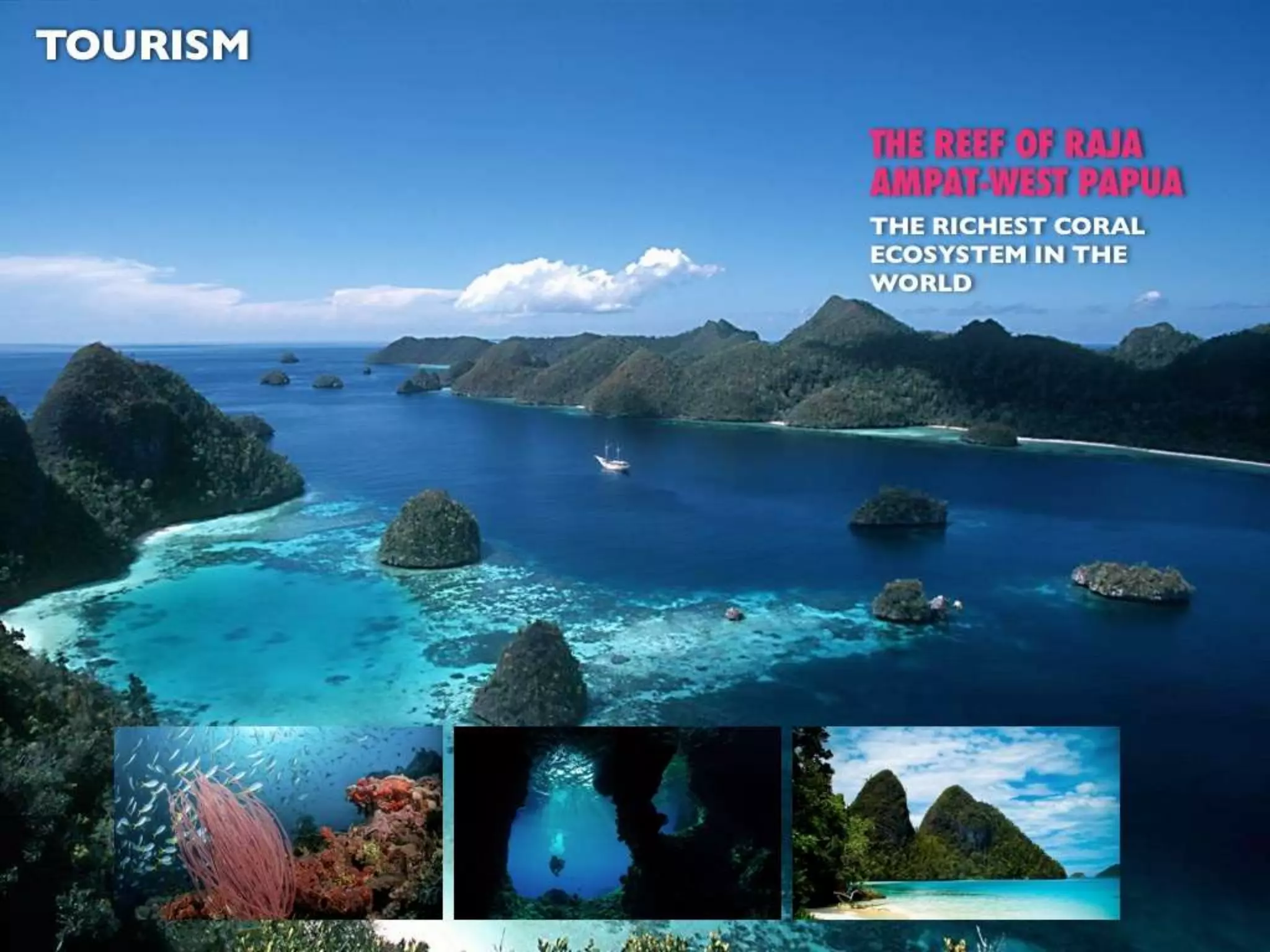 insight indonesia | PPT