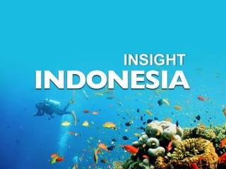 insight indonesia | PPT