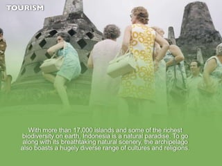 insight indonesia | PPT