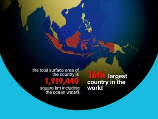 insight indonesia | PPT