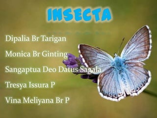 Kingdom Animalia - INSECTA | PPT