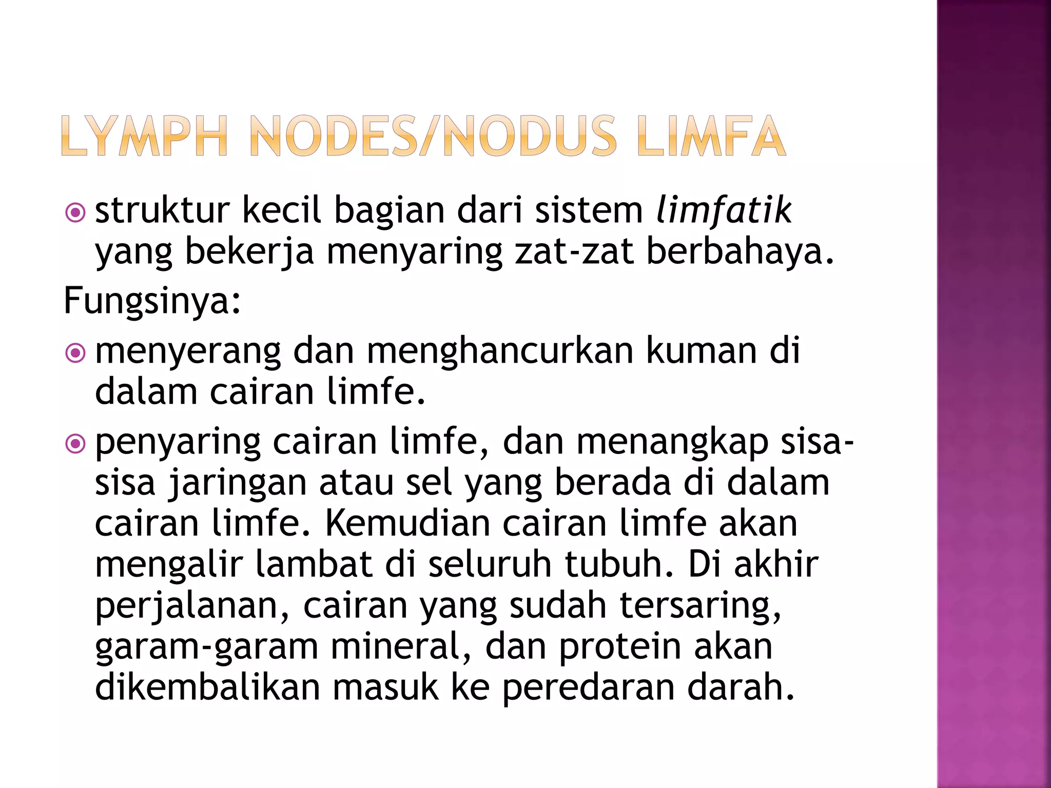 Presentasi IPA Kelompok 3 Sistem Kelenjar Limfe dan Peredaran Darah | PPTX