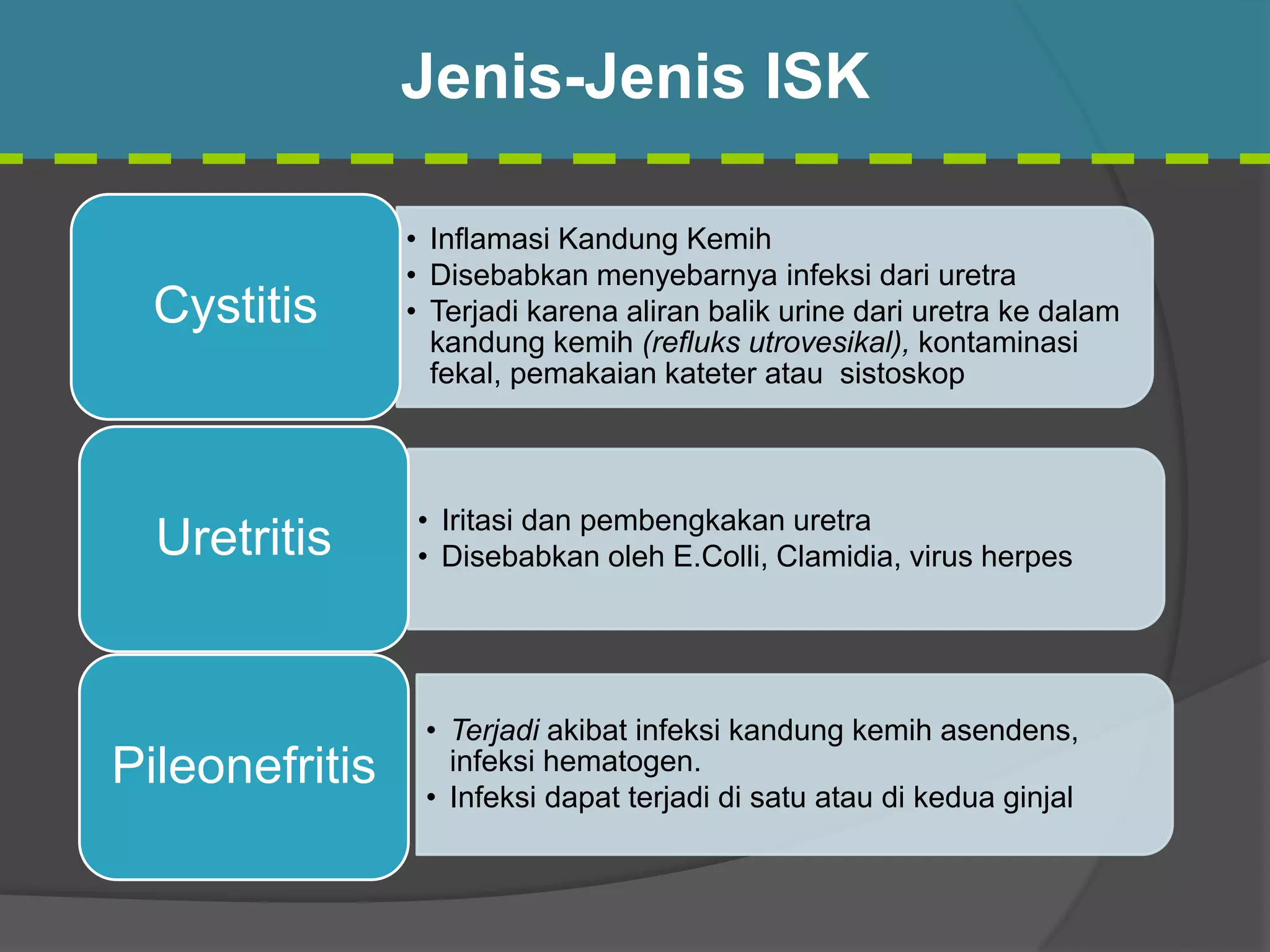 Farmakoterapi Infeksi Saluran Kemih | PPTX