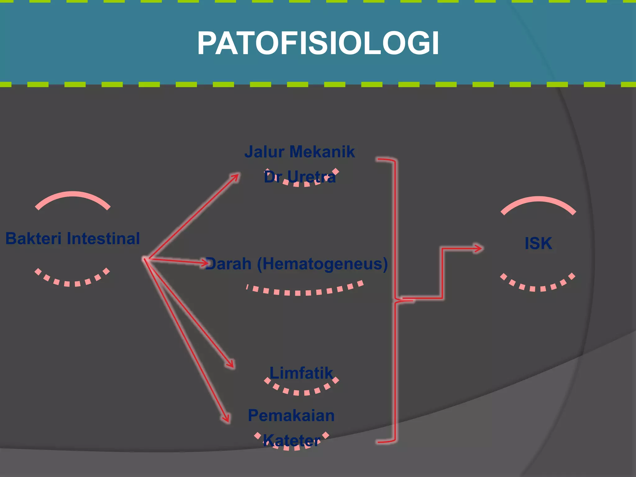 Farmakoterapi Infeksi Saluran Kemih | PPTX