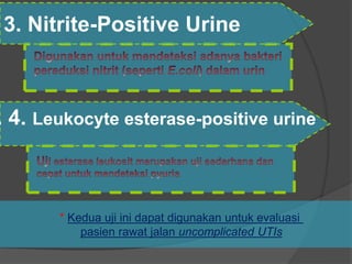 Farmakoterapi Infeksi Saluran Kemih | PPTX