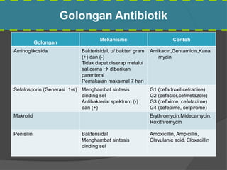 Farmakoterapi Infeksi Saluran Kemih | PPTX