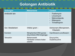 Farmakoterapi Infeksi Saluran Kemih | PPTX