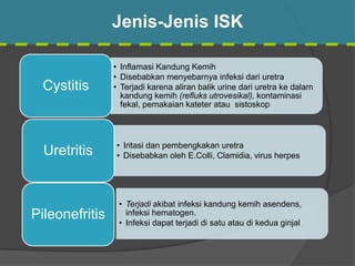 Farmakoterapi Infeksi Saluran Kemih | PPTX