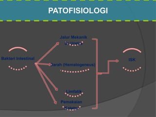 Farmakoterapi Infeksi Saluran Kemih | PPTX