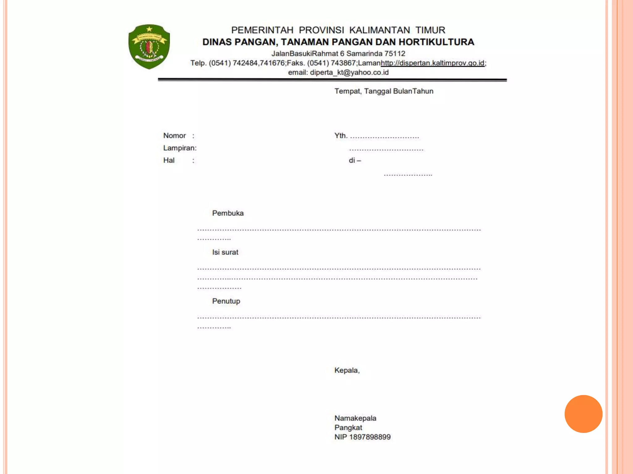 presentasi jafung.pptx