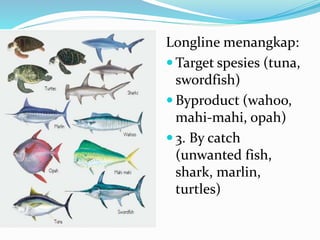 Presentasi kapal ikan tuna long line | PPTX
