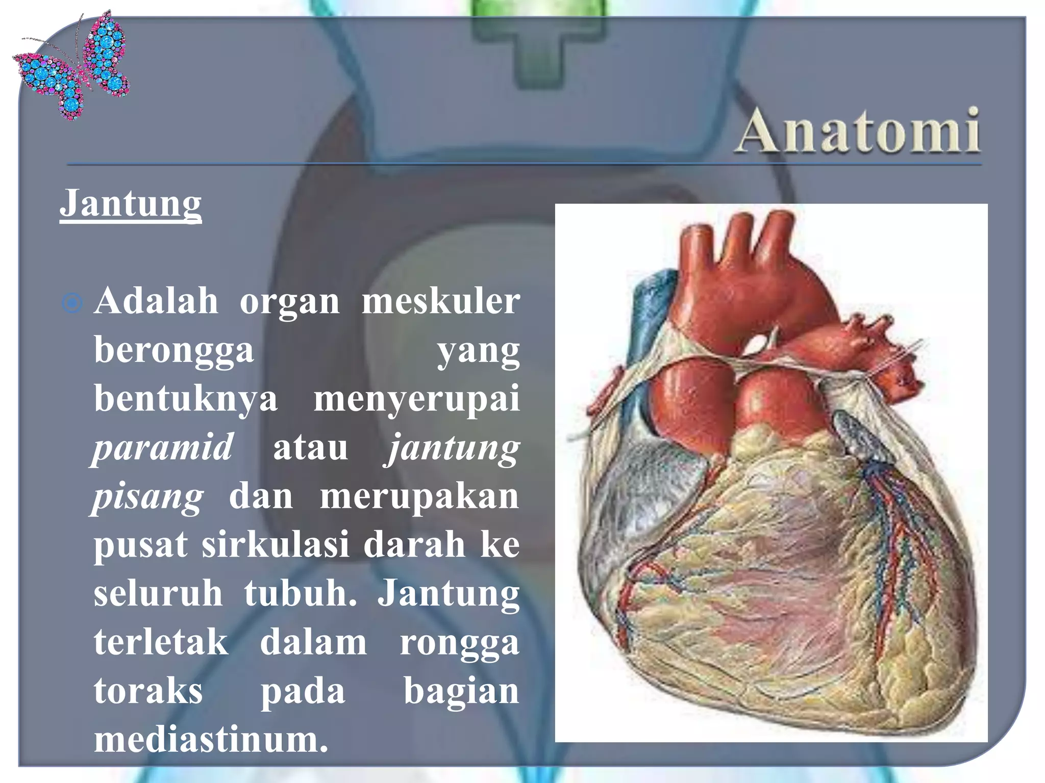 Anatomi dan Fisiologi Sistem Kardiovaskuler | PPTX