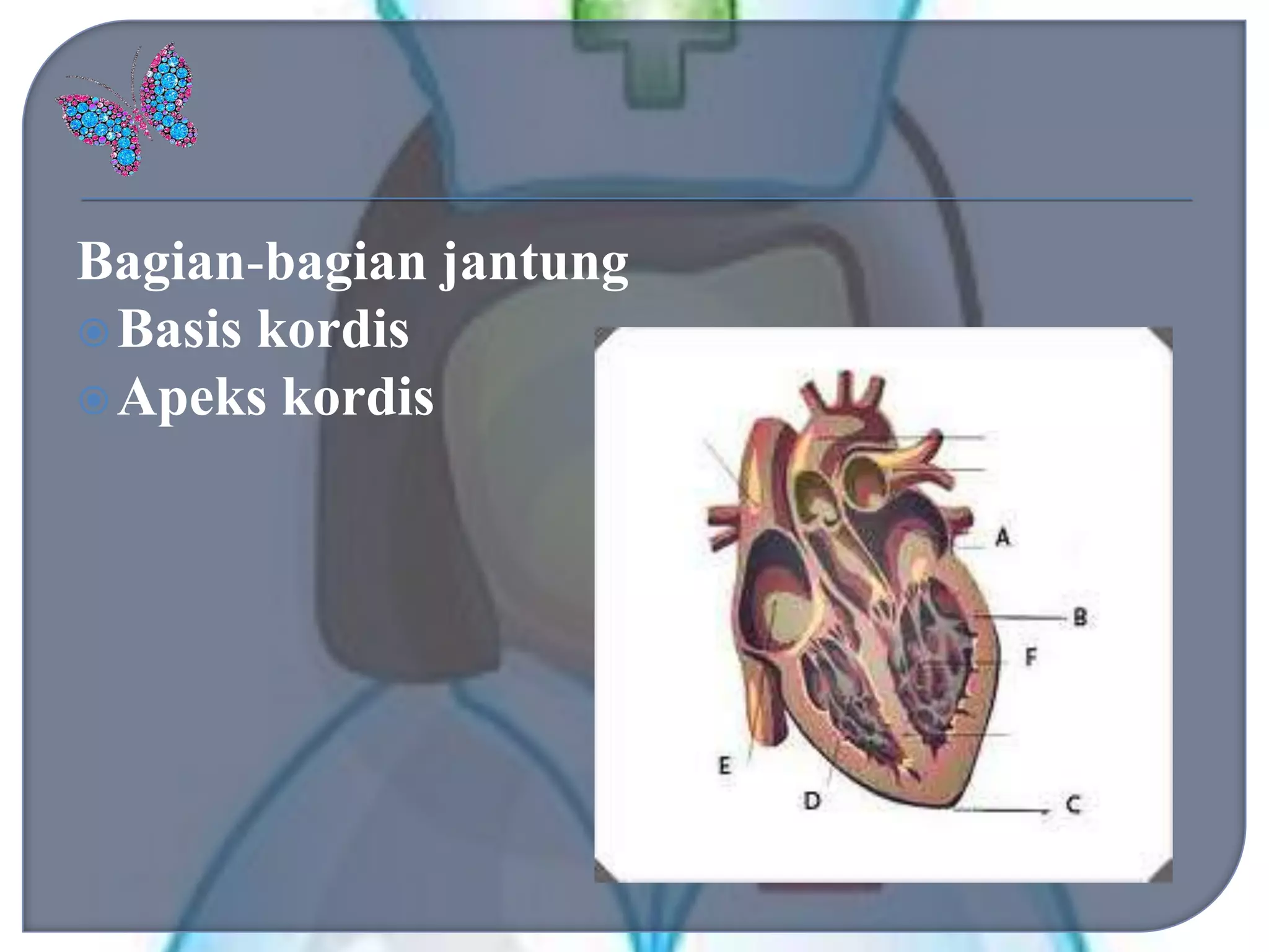 Anatomi dan Fisiologi Sistem Kardiovaskuler | PPTX