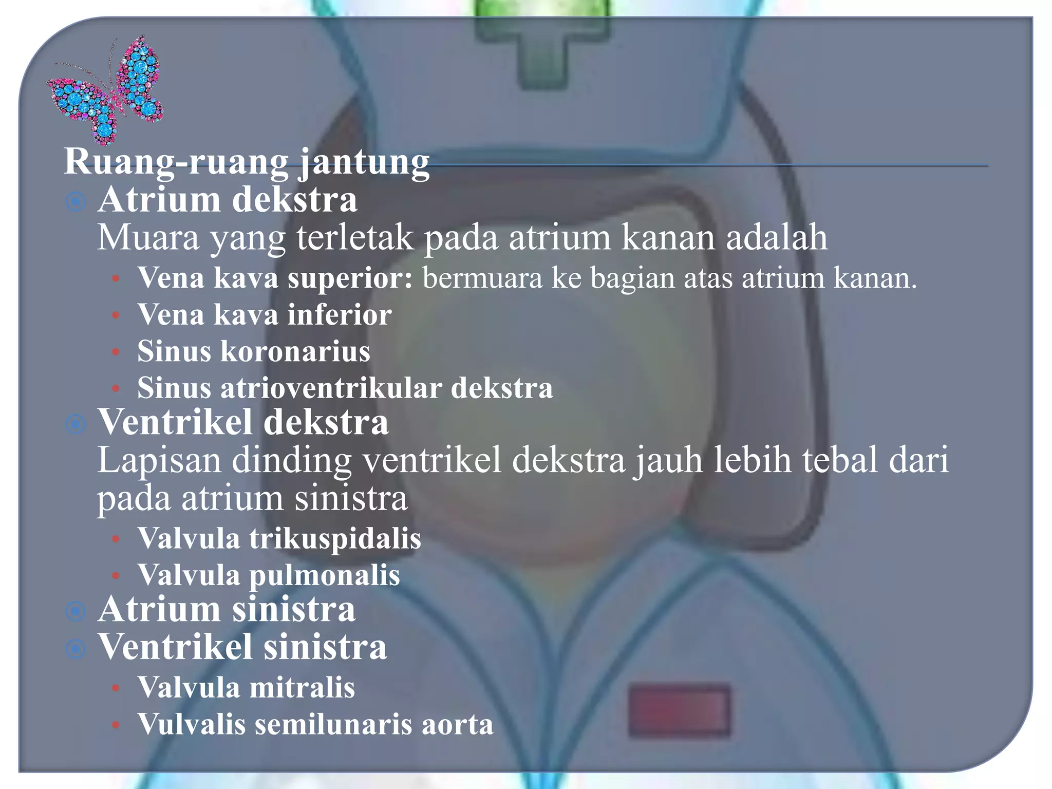 Anatomi dan Fisiologi Sistem Kardiovaskuler | PPTX