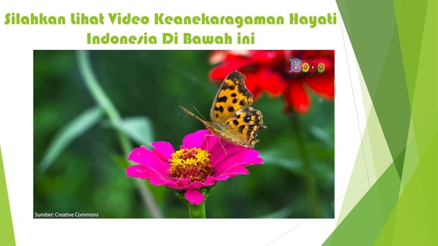 Presentasi ipa KEANEKARAGAMAN HAYATI.ppt