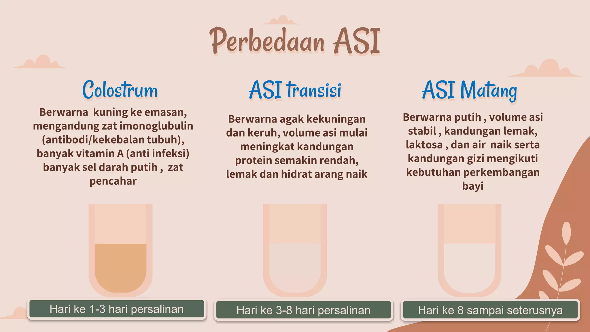 presentasi kelas bumil.pptx