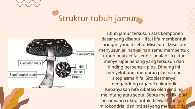 Presentasi materi jamur KELAS 10 SMK.pptx