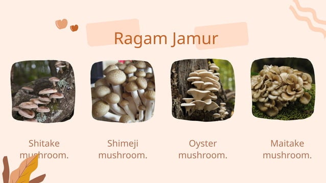 Presentasi materi jamur KELAS 10 SMK.pptx